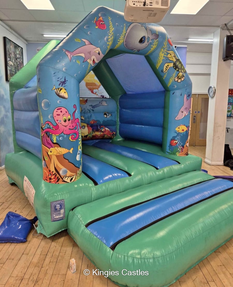 Undersea Bouncy Castle Hire in Croydon Westerham , Surrey